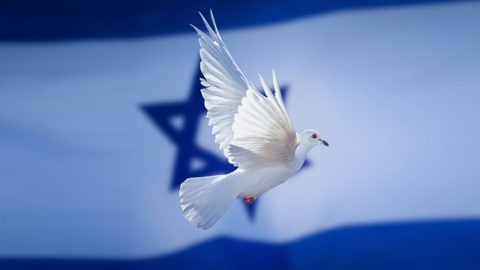 APP 091520 Peace Israel - The Rush Limbaugh Show
